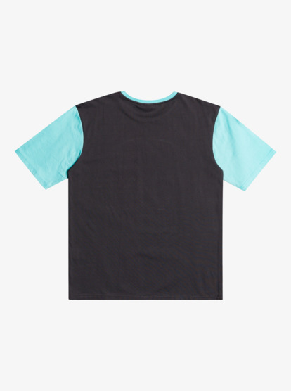 Mens Master Plan Short Sleeve T-Shirt | Quiksilver